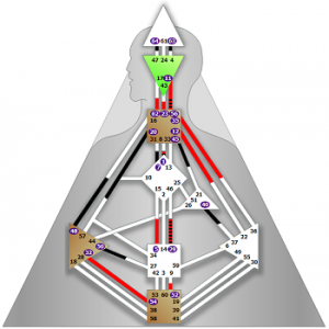 The Human Design System - Human Design Worldwide